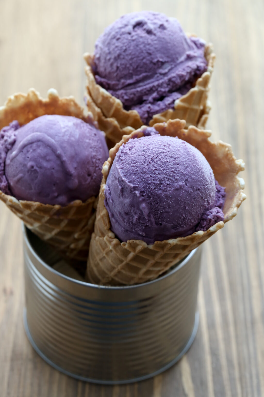 Blueberry Ice Cream